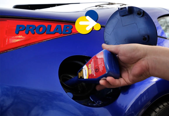 PROLAB 30 ans - Frédéric GaudryFrédéric Gaudry